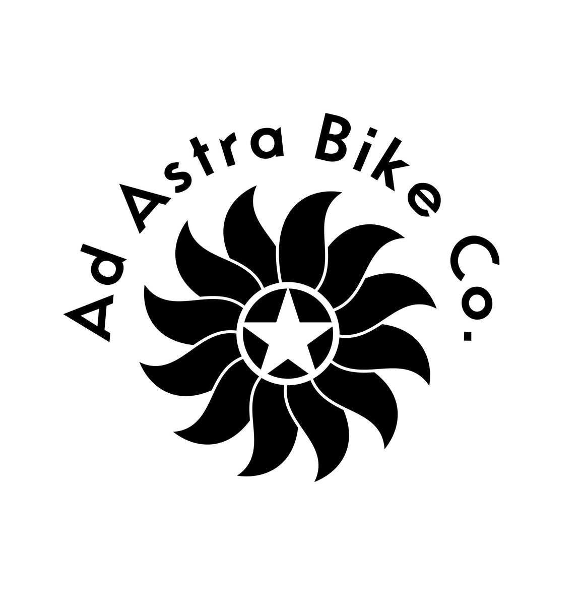 MOUNTAIN BIKES – Ad Astra Bike Co