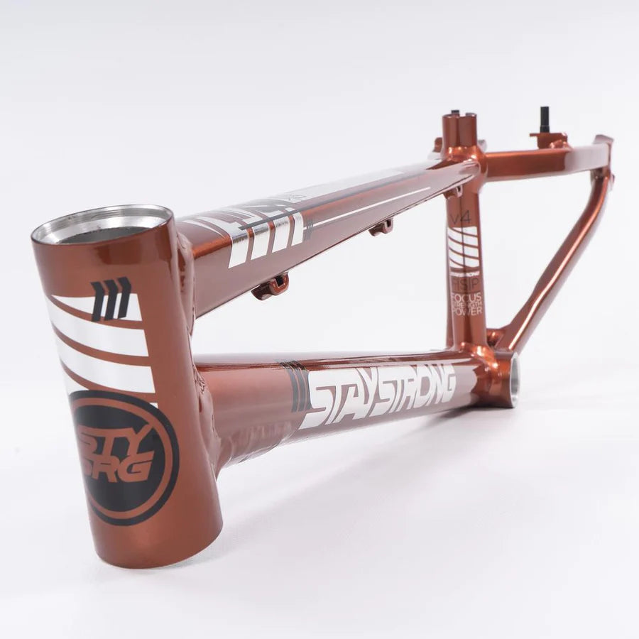 Stay Strong For Life 2023 V4 Mini - Expert XL Race Frames – Ad Astra ...
